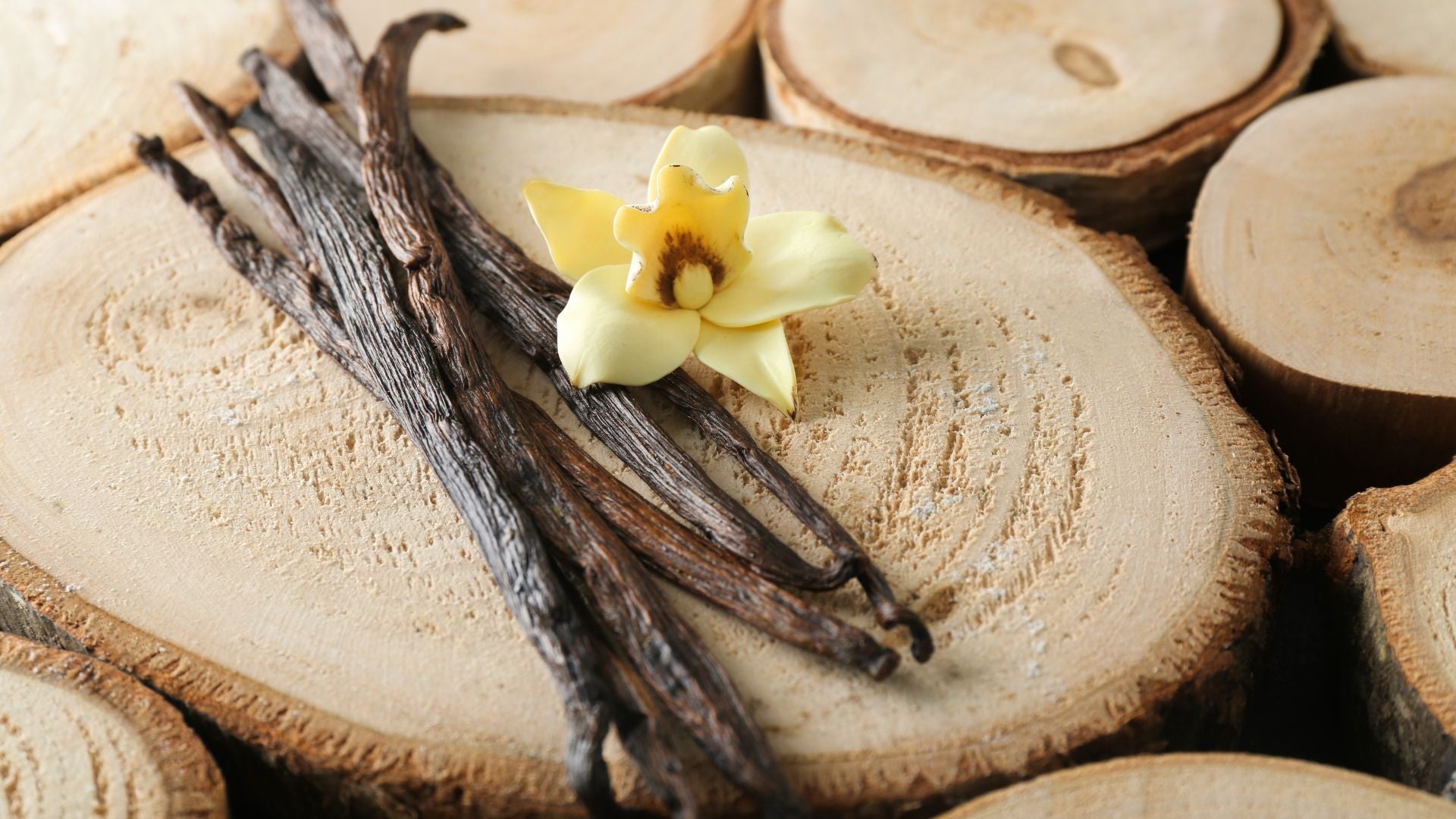 Vanilla – Warm, Sweet & Comforting Essential Oil Scent | HYSSES SG ...
