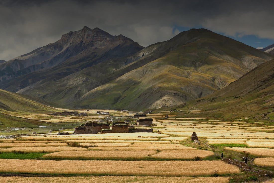 Our Story | Know Us Better - HYSSES - Hysses Singapore